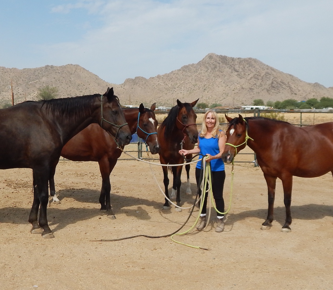 Services - Heart to Hoof Horsemanship